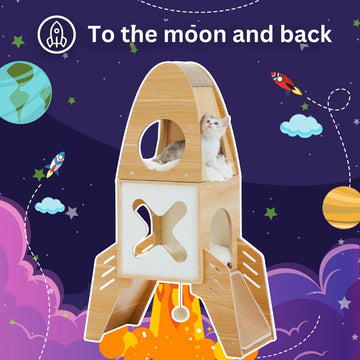 Modern Cat Tree Collection | Meowgicians™