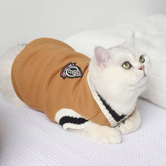College-Style Sweater for Cat | Get Your Cat Ready for School ...