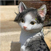 Adorable Gray Cat Statue | Realistic Cat Decor for Your Garden ...