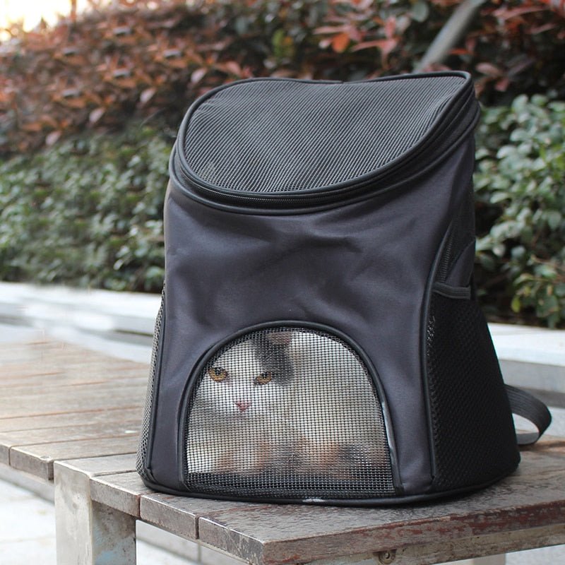 Cat Backpacks & Travel Accessories | Make Your Cat Journey In Style ...