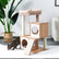 Modern Look Minimalist Cat Tree with Enclosure | Stylish & Functional ...
