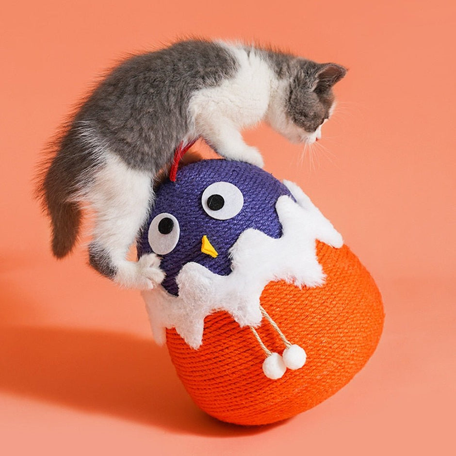 Unique & Cute Cat Toys | Meowgicians™