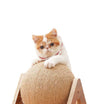 Creative Cat Scratcher - Rolling Cat Scratching Toy – Meowgicians™