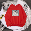 Funny Cat Sweatshirt - Stay Comfy with Our 'Dazed cat' – Meowgicians™