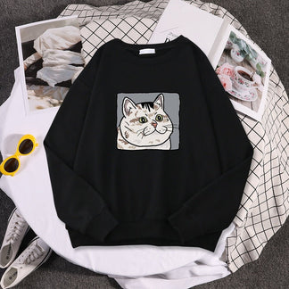 Funny Cat Sweatshirt - Stay Comfy with Our 'Dazed cat' – Meowgicians™