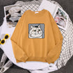 Funny Cat Sweatshirt - Stay Comfy with Our 'Dazed cat' – Meowgicians™