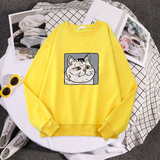 Funny Cat Sweatshirt - Stay Comfy with Our 'Dazed cat' – Meowgicians™