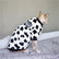 Reveal Your Cat's Inner Moo with 'I am a Cow' Sweater: Sweater for Cat ...