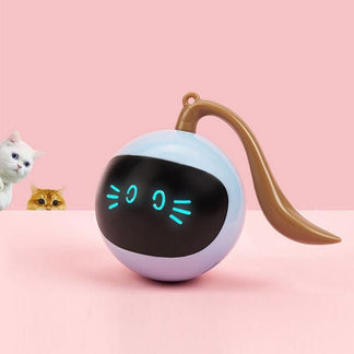 Interactive Eva robot cat toy with Rechargeable USB – Meowgicians™