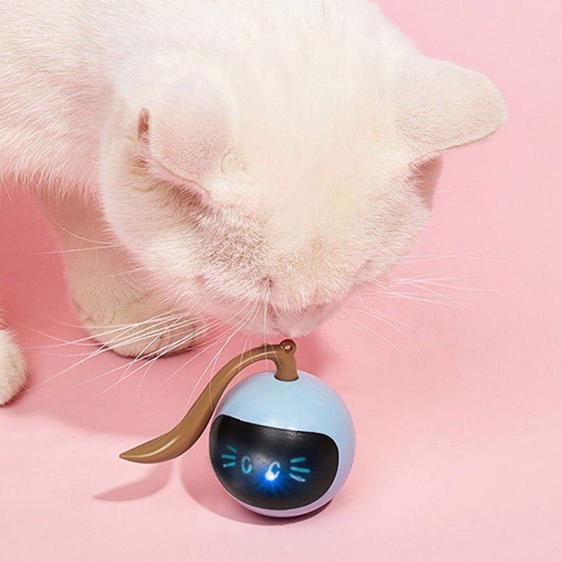 Interactive Eva robot cat toy with Rechargeable USB – Meowgicians™