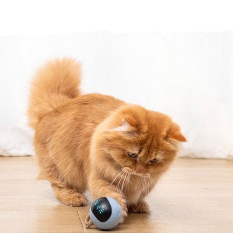 Interactive Eva robot cat toy with Rechargeable USB – Meowgicians™