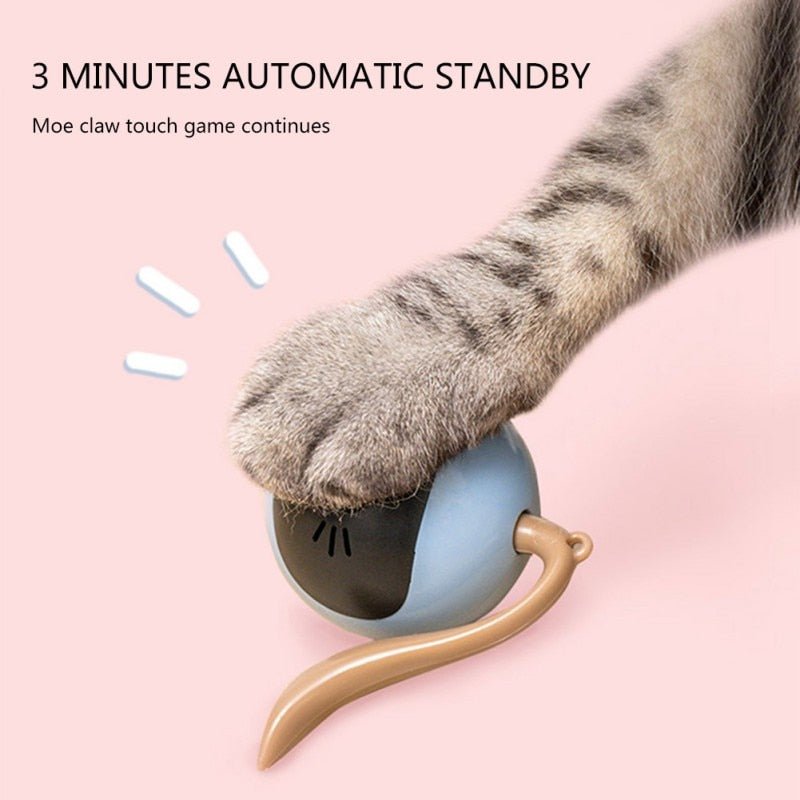 Interactive Eva robot cat toy with Rechargeable USB – Meowgicians™