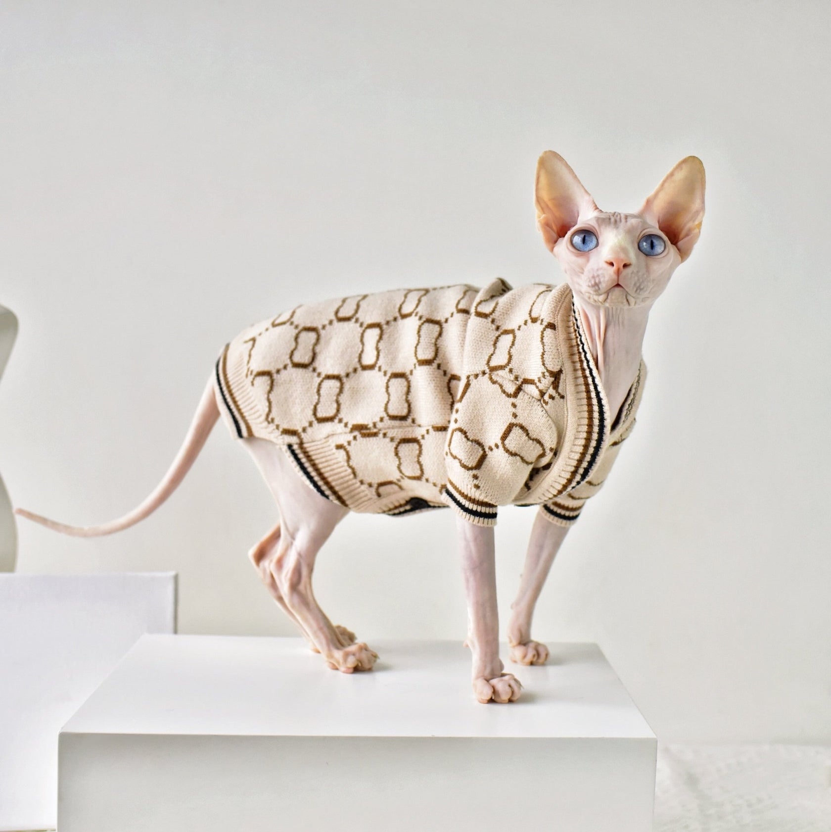 Luxury Knitted Cat Winter Coat | Fashionable Designer Cat Clothes ...