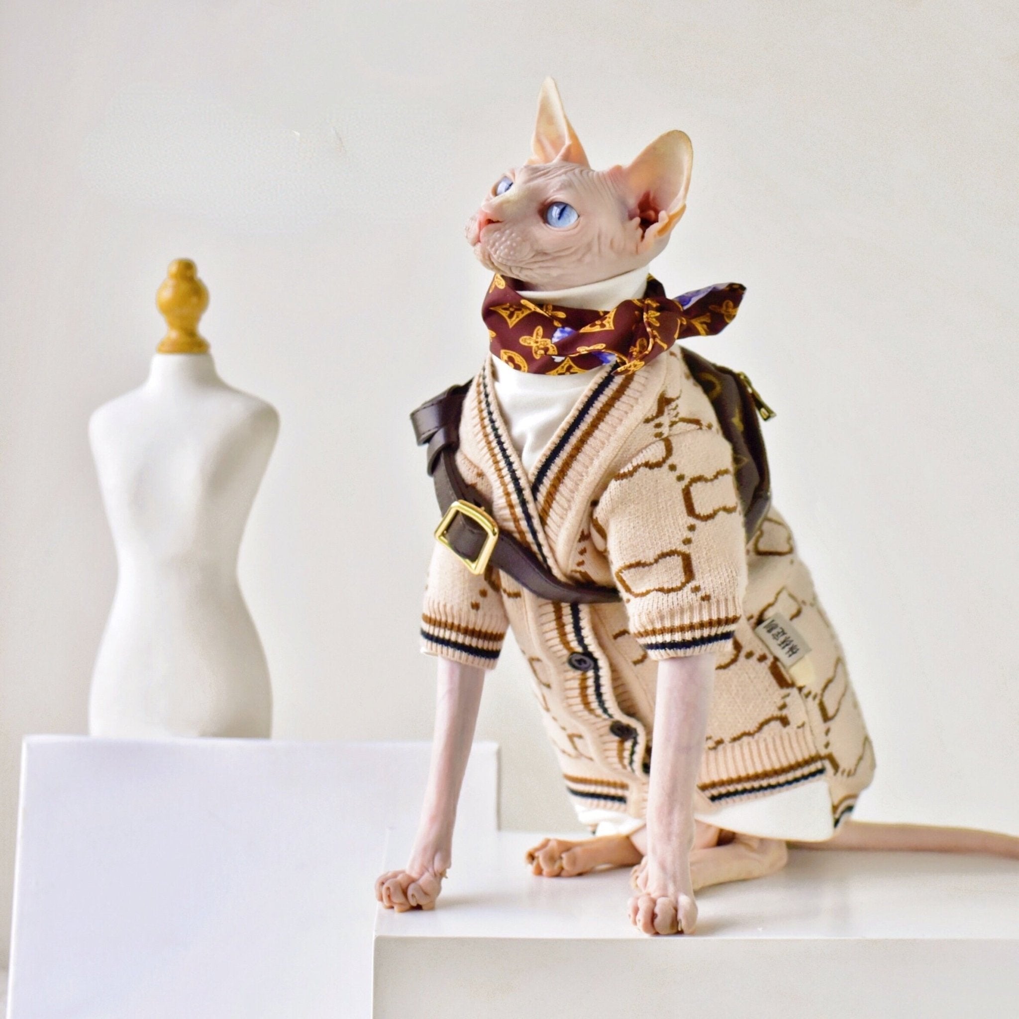 Luxury Knitted Cat Winter Coat | Fashionable Designer Cat Clothes ...