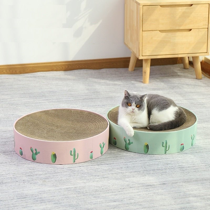 Mini Cactus' round cat scratch board and bed – Meowgicians™