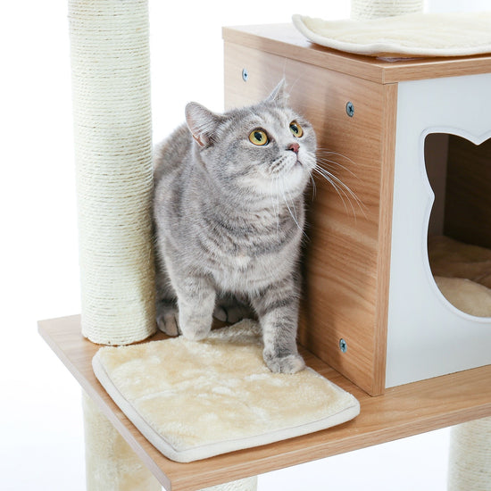 Wooden Cat Tree with Hammock & Chic Bed | Your Cat's Fancy Dreamland ...