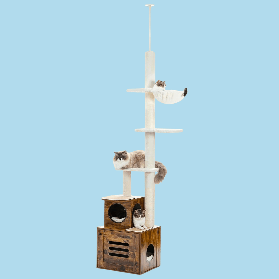 Modern Cat Tree Collection | Meowgicians™
