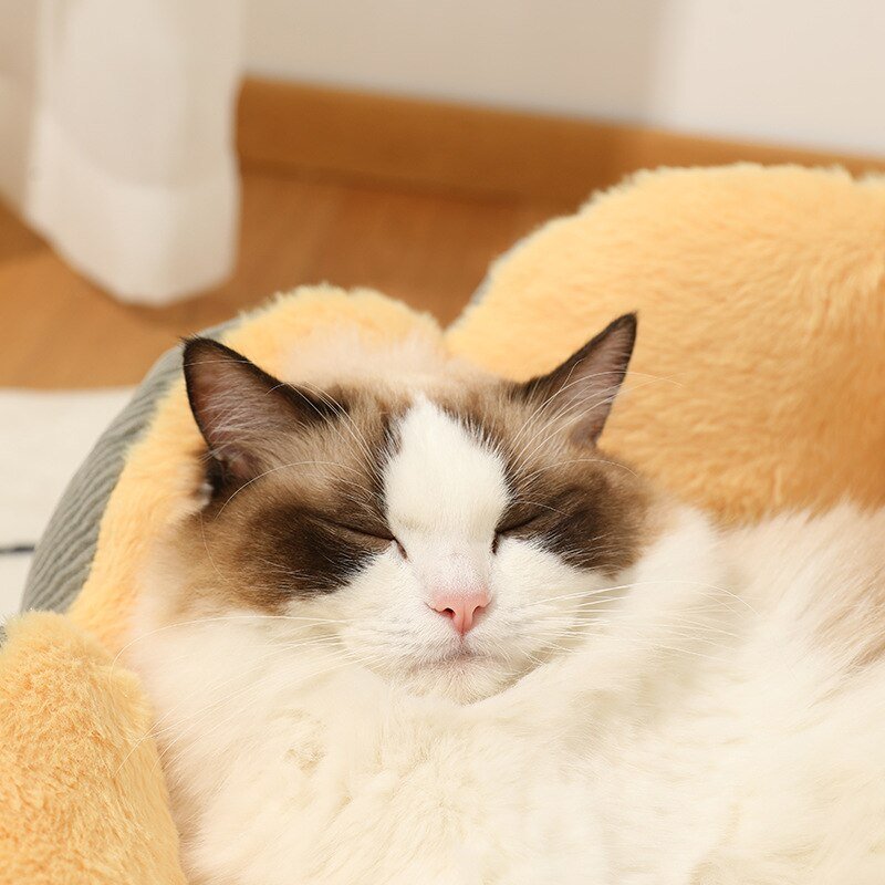 Shell Shape Aesthetic Calming Cat Bed | Cat bed like Queen's throne ...