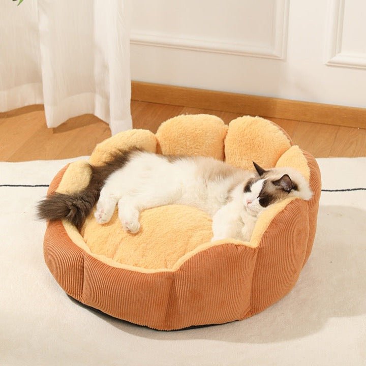 Shell Shape Aesthetic Calming Cat Bed | Cat bed like Queen's throne ...