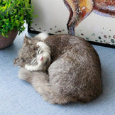 Confuse Your Guests With This Realistic Cat Plush | The 'Sleeping Cat ...