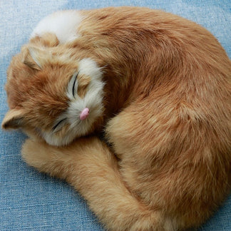 Confuse Your Guests With This Realistic Cat Plush | The 'Sleeping Cat ...