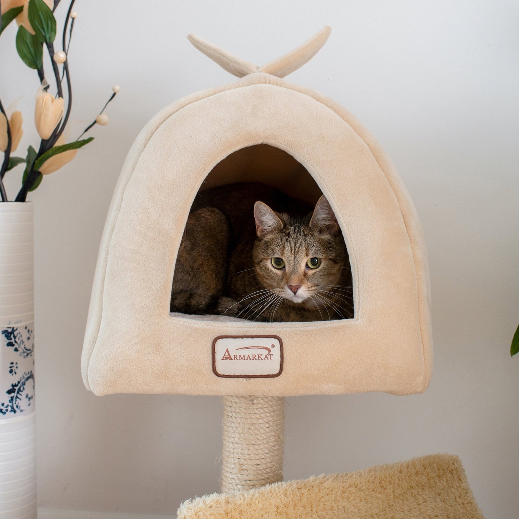 Small Wooden Deluxe Cat Tree | A Cozy Haven for Your Purrfect Pal ...