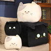 Adorable and Unique Kawaii Cat Plushie | Square Shaped Cat – Meowgicians™