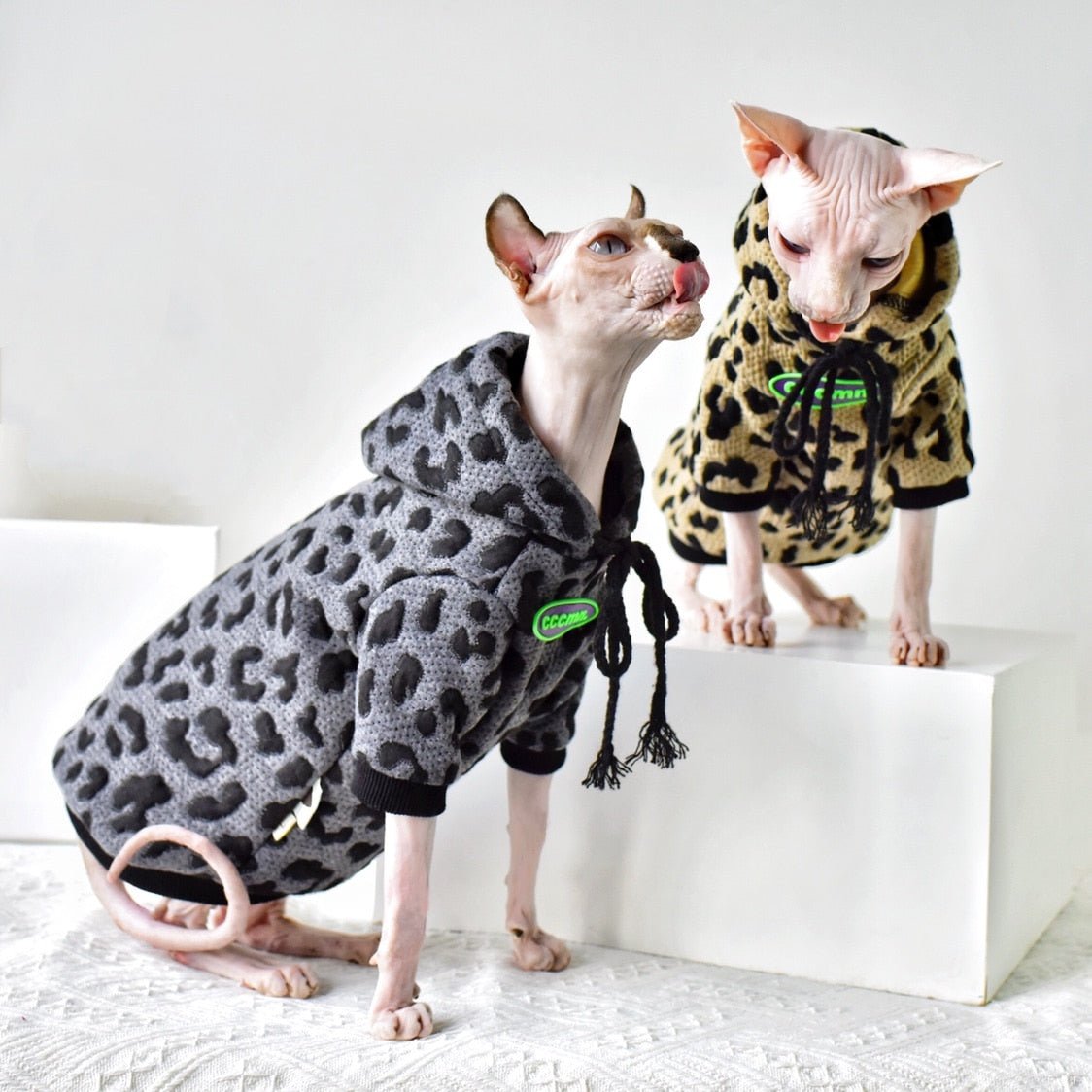 Swaggy Streetwear Cat Hoodie | Stylish Clothing for Sphynx Cats ...