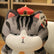 Rule the Cat Kingdom with Our Royal Plushie Cat | The Emperor Cat ...