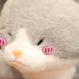 Big Cat Plush That's Perfet for Cuddling |The Gray Dolphin Cat ...