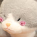 Big Cat Plush That's Perfet for Cuddling |The Gray Dolphin Cat ...