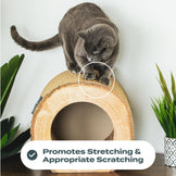 The Log Minimalist Cat Tree | Sleek Design for Modern Feline Living ...