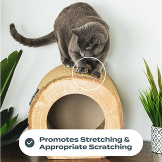 The Log Minimalist Cat Tree | Sleek Design for Modern Feline Living ...