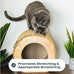 The Log Minimalist Cat Tree | Sleek Design for Modern Feline Living ...