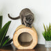 The Log Minimalist Cat Tree | Sleek Design for Modern Feline Living ...
