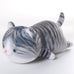 Enjoy the Softness of Our Fat Cat Plushie | The Tabby Cat – Meowgicians™
