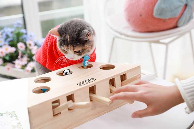 Whack & Catch Interactive Toy – Meowgicians™